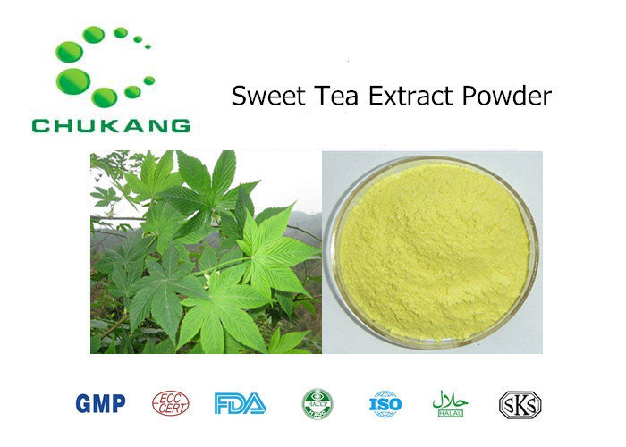Sweet Tea Plant Extract Powder Rubus Suavissimus S. Lee CAS 64849 39 4