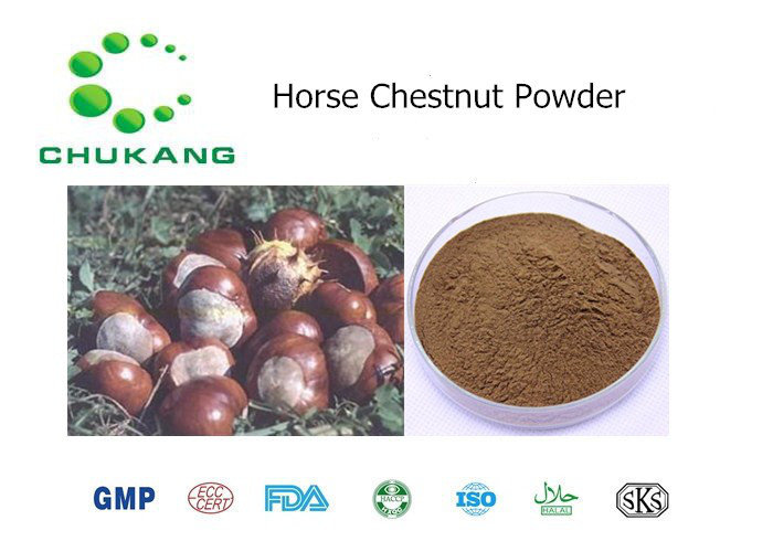Horse Chestnut Powdered Herbal Extracts Aesculus Chinensis Bunge Organic Herbal Powder