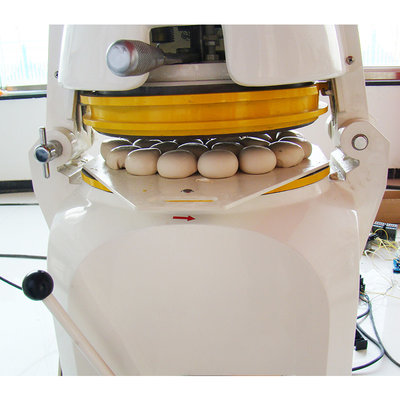 Diesel Stainless Steel 0.75kw Hamburger Forming Machine