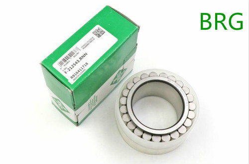 China INA CPM2529 Bearing F-57063 F-202168 Cylindrical Roller  Bearings INA/SKF/FAG supplier