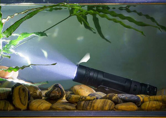 Compact CREE XPE Q5 LED Flashlight, Water Resistant Clip Penlight LED Torch supplier