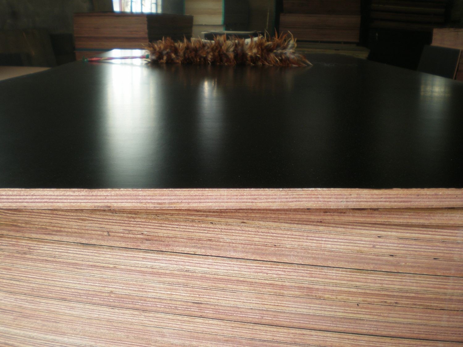 Liaocheng Rich-joint Wood Industry Co.,Ltd factory production line
