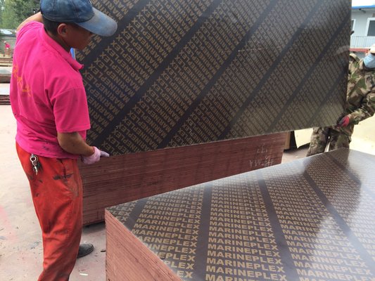 Finger-joint Core Brown Film Faced Plywood With Carton Or Plywood Package