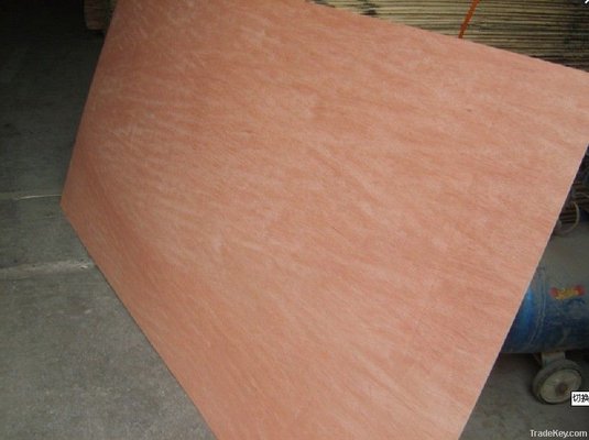 Bintangor Commercial Plywood 