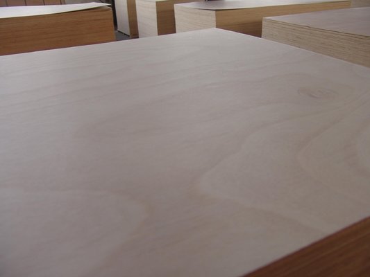 Maple Birch Plywood Sheets 