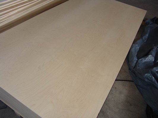 Maple Birch Plywood Sheets 