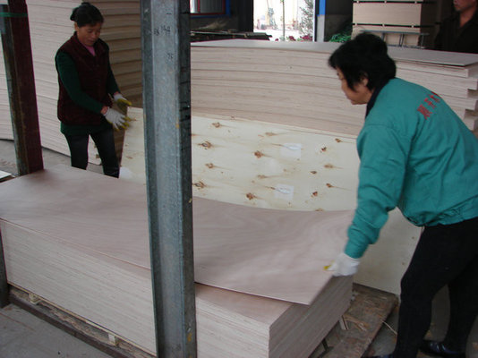 Furniture Commercial Plywood 