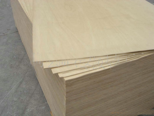 Mersawa / Radiata Pine Plywood For Decoration or Cabinet , Anti Cracking