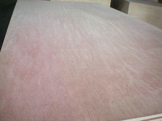 Cherry , Beech , Walnut Radiata Pine Furniture Plywood Sheets with BB/BB or DBB/CC Grade