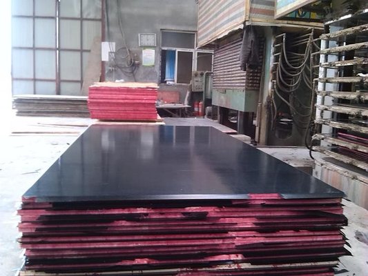 Black Poplar Phenolic Film Faced Plywood