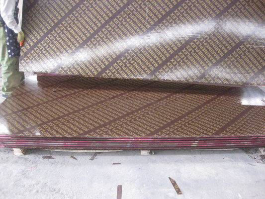 Brown Phenolic Film Faced Plywood