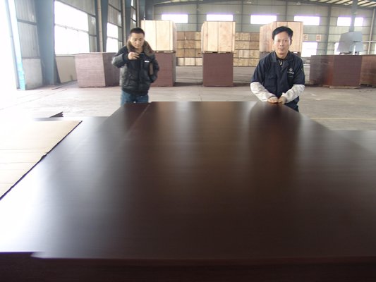 Environmentally friendly Brown film construction plywood / marineplex shuttering plywood