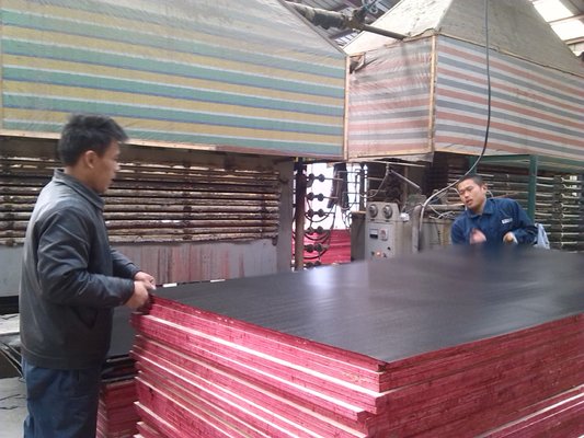 Anti Slip Fireproof black face film plywood for Shuttering , WBP or Melamine Glue