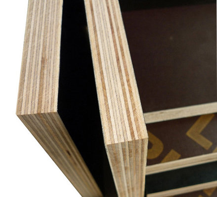 Poplar Construction Plywood Sheets 