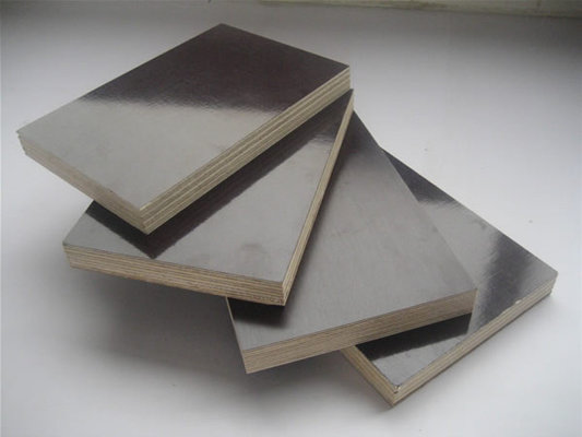 Poplar Construction Plywood Sheets 