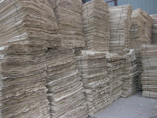Concrete formwork construction plywood