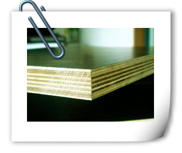 Shuttering Film Faced Plywood / Construction Plywood Sheets with 8% - 12% moisture
