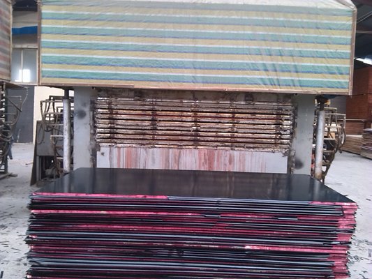 Fireproof Film Faced Shuttering Concrete Plywood for construction formwork 1220x2440