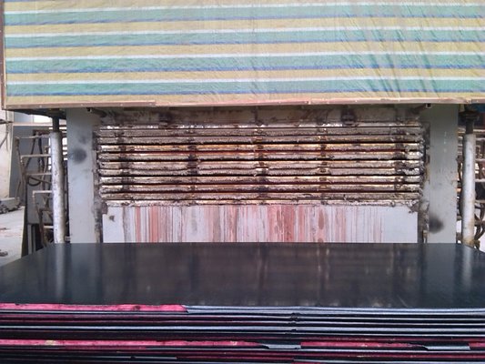 Waterproof hardwood concrete plywood for construction , Film faced plywood grade