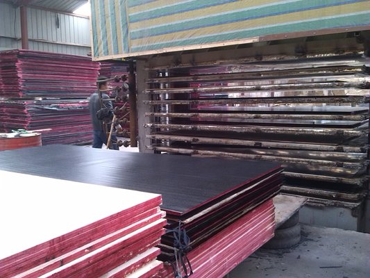 Waterproof hardwood concrete plywood for construction , Film faced plywood grade
