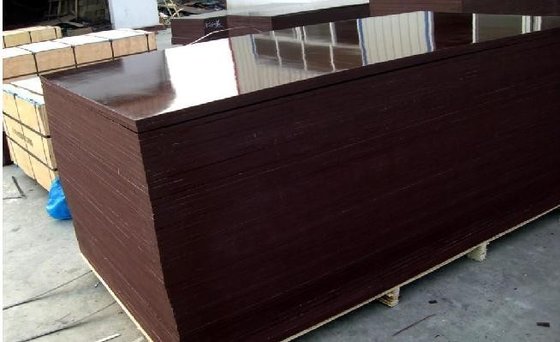 Poplar and Hardwood Brown Film Faced Plywood / FFP Sheets for Construction Material