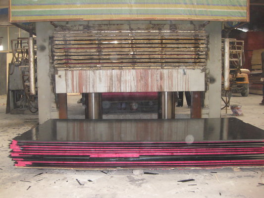 Commercial Laminate Faced Plywood / Laminated Plywood Sheets Fire Resistant and UV Protection
