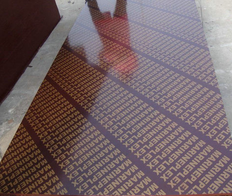 Waterproof Phenolic Formwork Plywood / Film Face Plywood for Construction 12mm 16mm 18mm