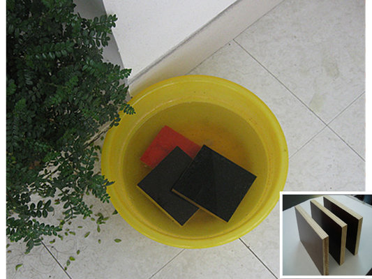 Marine poplar construction film faced plywood with red waterproof paint film 18mm