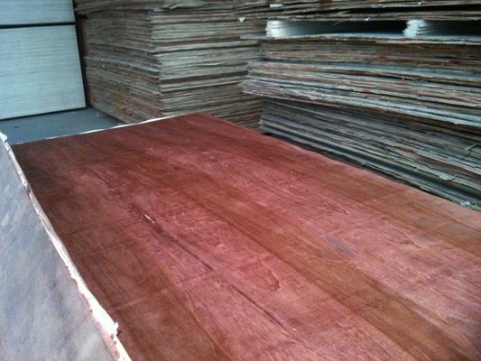 Marine poplar construction film faced plywood with red waterproof paint film 18mm