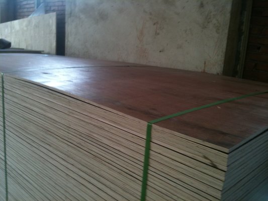 Red film marine plywood / construction concrete form plywood with WBP , Melamine glue