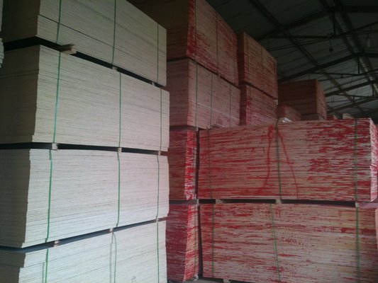 Phenolic film faced shuttering concrete plywood with pine , eucalyptus core 12mm 15mm 18mm