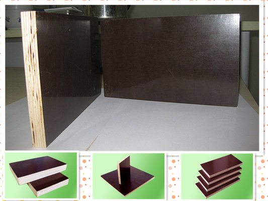 Eucalyptus core Concrete Formwork plywood for building usage 12mm - 21mm , Eco friendly