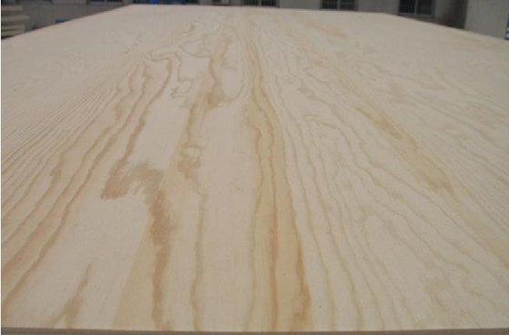 Sapale Poplar Maple Cheery Veneered Fancy MDF for furniture decoration