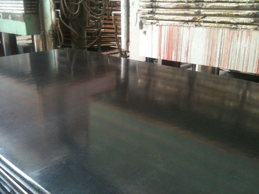 Concrete Formwork Black Film Faced Plywood , Total Hardwood / Eucalyptus Core With High Strengh