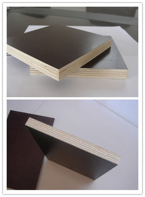 Construction Hot-Press Black Film Faced Plywood Four Edges With Mr Glue