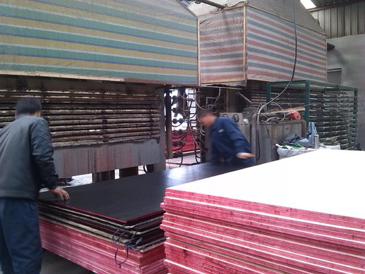 12mm - 21mm Black Film Faced Plywood Without Logo , Laminated Veneer Shuttering Plywood
