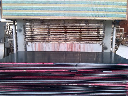 12mm - 21mm Black Film Faced Plywood Without Logo , Laminated Veneer Shuttering Plywood