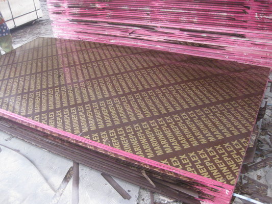 Poplar Core Brown Film Faced Plywood Finger-Jointed 1220x2440 12mm - 21mm