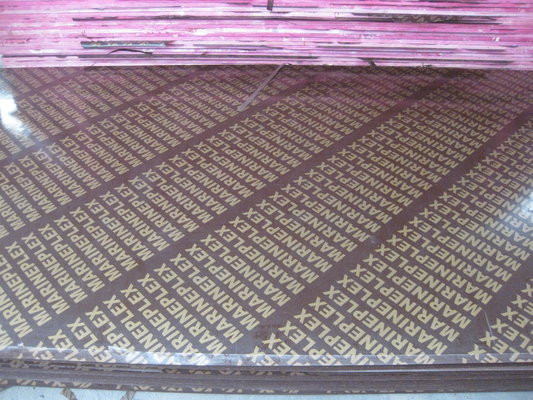 Building Brown Film Faced Plywood With Wbp Glue , High Hot Pressure With Twice Sanding