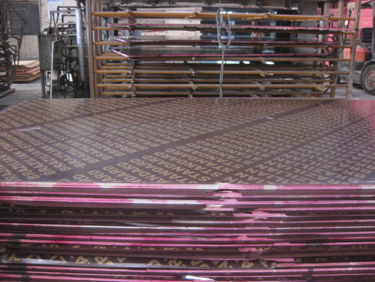 High Bending Strength Brown Film Faced Plywood , Edge With Phenolic Glue