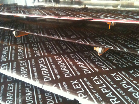 Brown Film Construction Plywood , Finger-Joint Poplar Core In Wbp Glue For Building