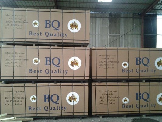 Eucalyptus core brown Film Faced Plywood 12mm - 21mm with Mr / WBP / Melamine Glue