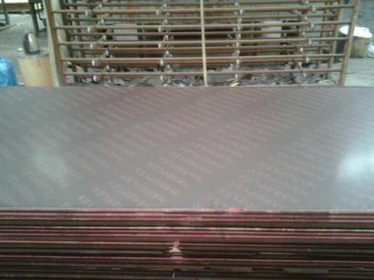 WBP Glue Brown Film Faced Plywood Two Hot-Press With Total Hardwood Core