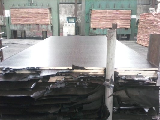 Waterproof 12mm - 21mm birch faced plywood High Strength For Construction
