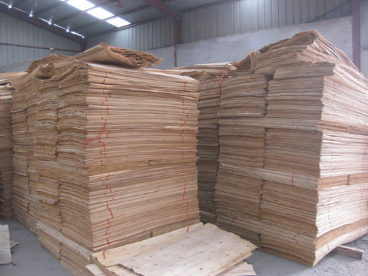 Anti-Skidding Film Faced Plywood 12mm - 21mm With Brown / Black Film