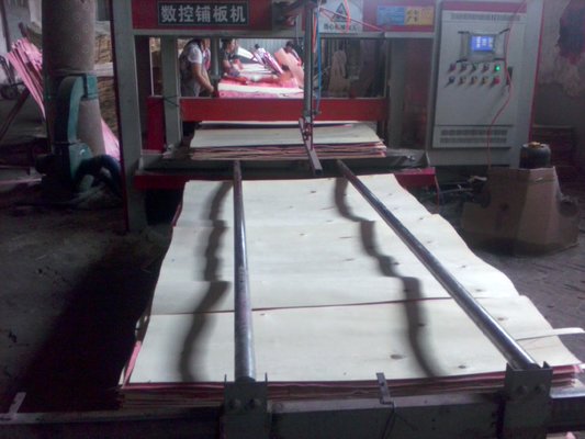 Film Faced Concrete Plywood Poplar Core With Phenolic Glue 2440 X 1220 X 15mm
