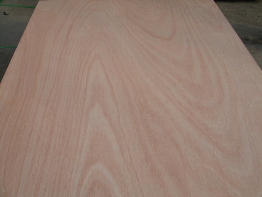 Furniture Grade Commercial Plywood , Birch Faced Plywood For Decoration