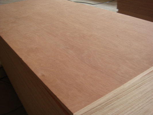 Poplar Veneer Laminated furniture grade Plywood Two Hot Press With E1 Glue