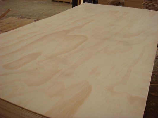 Poplar Veneer Laminated furniture grade Plywood Two Hot Press With E1 Glue