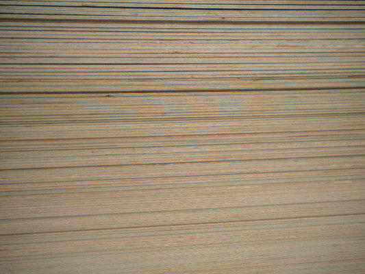 Hardwood Core Commercial Plywood With Okoume / Birch / Walnut / Teak Face / Back